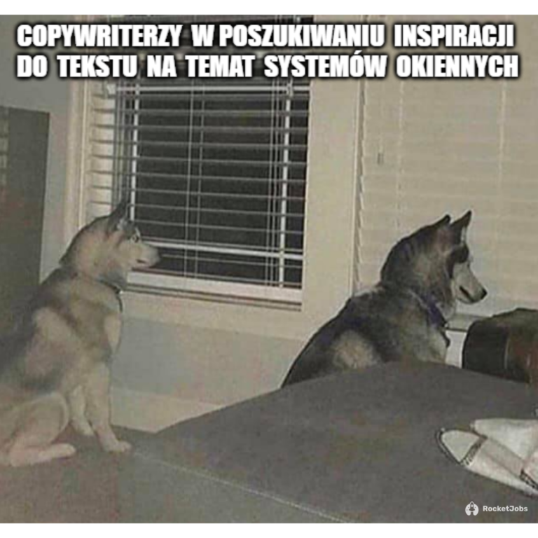 Jak wykorzystać memy w komunikacji Twojej marki? | More Bananas